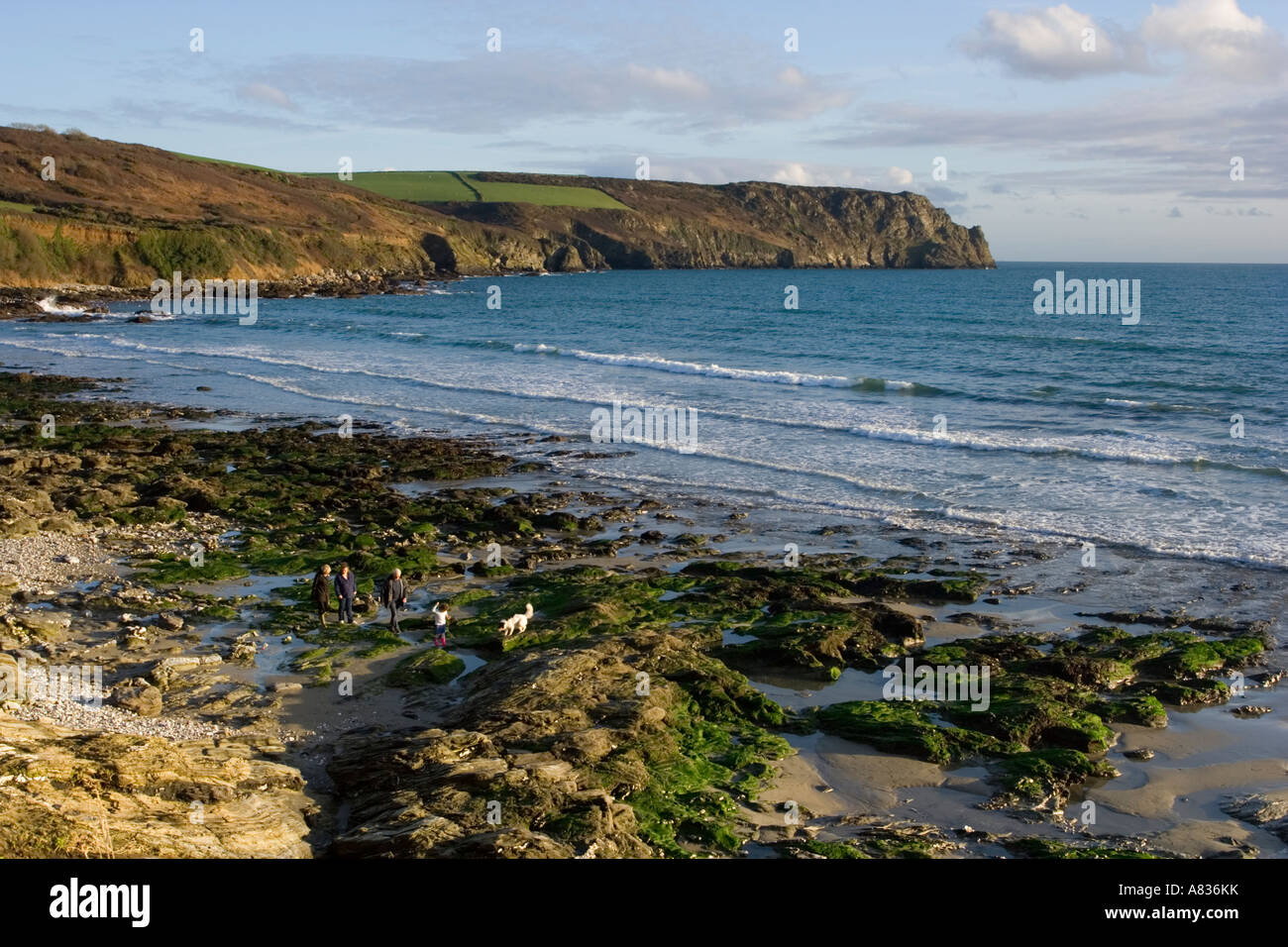 Clear day at Carne Beach Cornwall In the background is Nare Headland ...