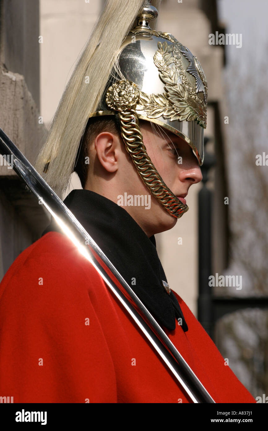 Mounted guardsmen from the Life Guards Regiment which is part of the ...