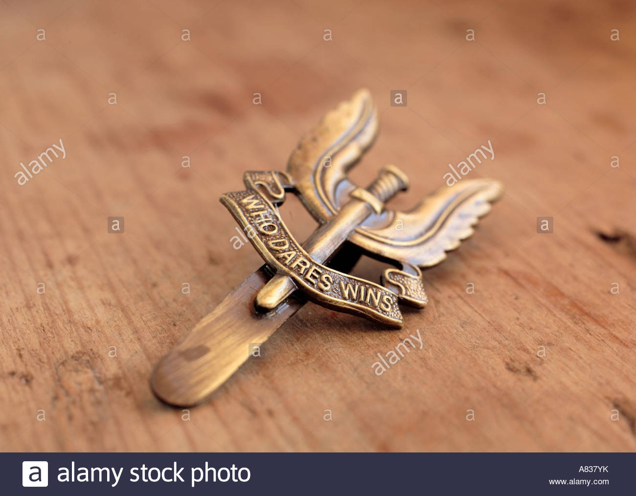 Special Air Service Stock Photos & Special Air Service Stock Images - Alamy