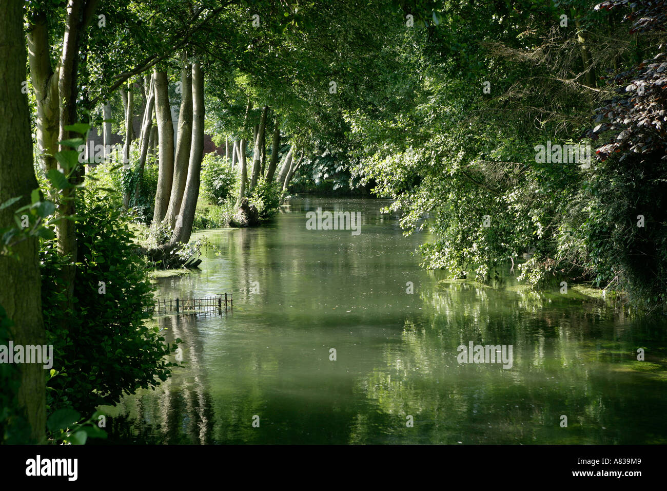 France, Normandy, Departement Seine Maritime, Criel sur Mer, The small ...