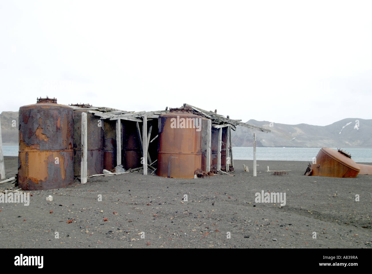 Remains of the first land based whale processing plant in Antarctica at ...