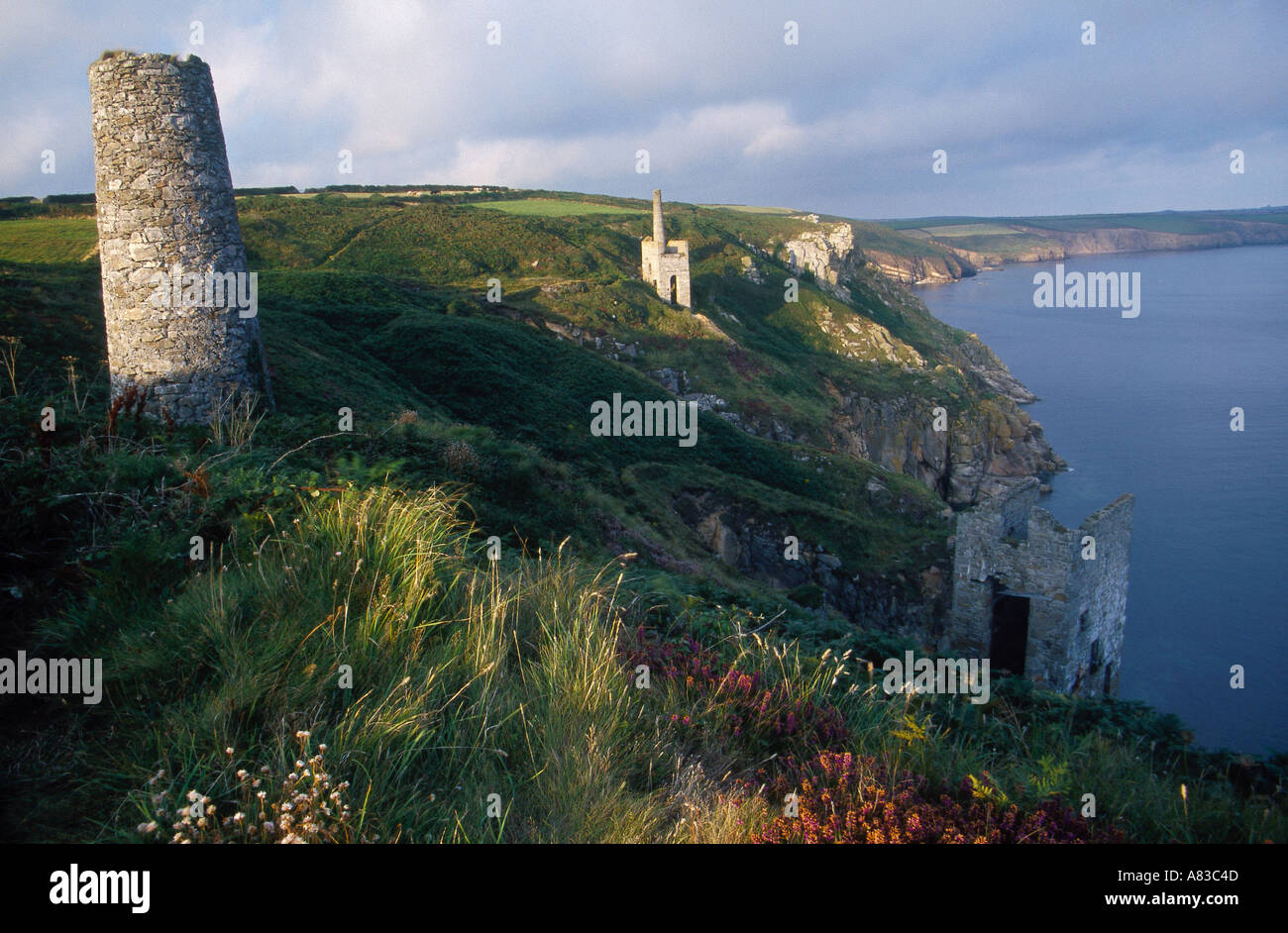 Trewavas cliff hi-res stock photography and images - Alamy