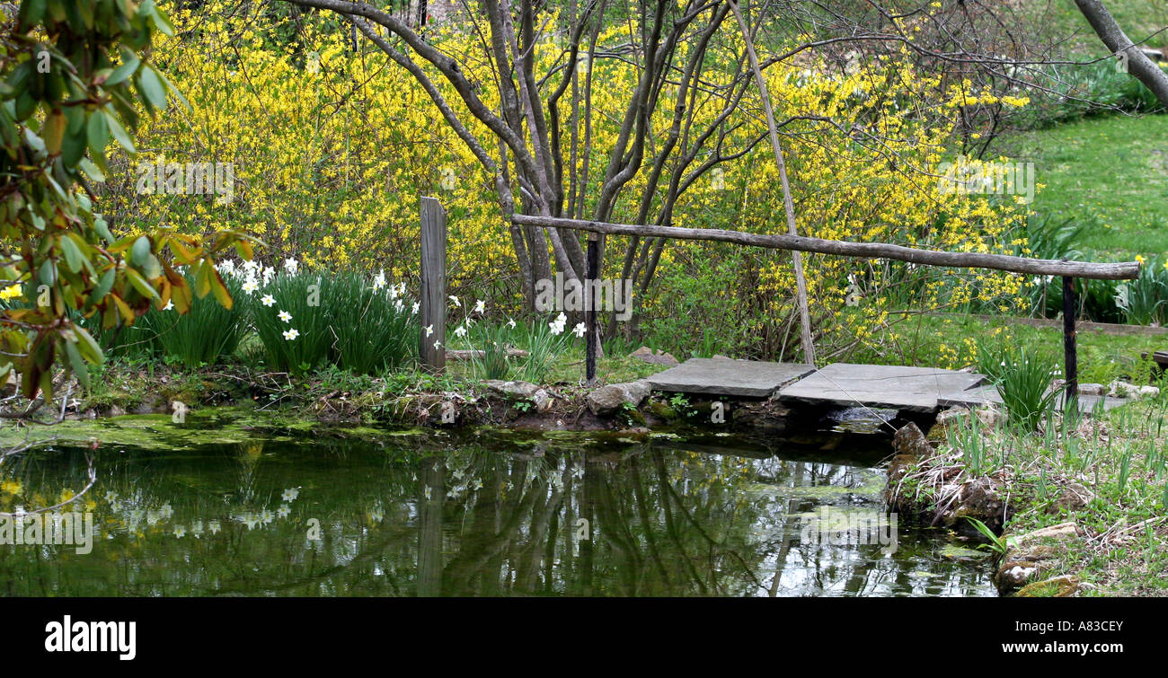 A garden foot bridge over a pond Stock Photo - Alamy