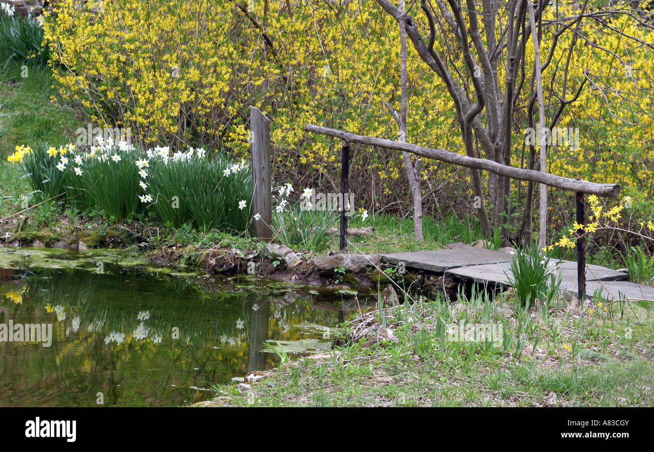 A garden foot bridge over a pond Stock Photo - Alamy