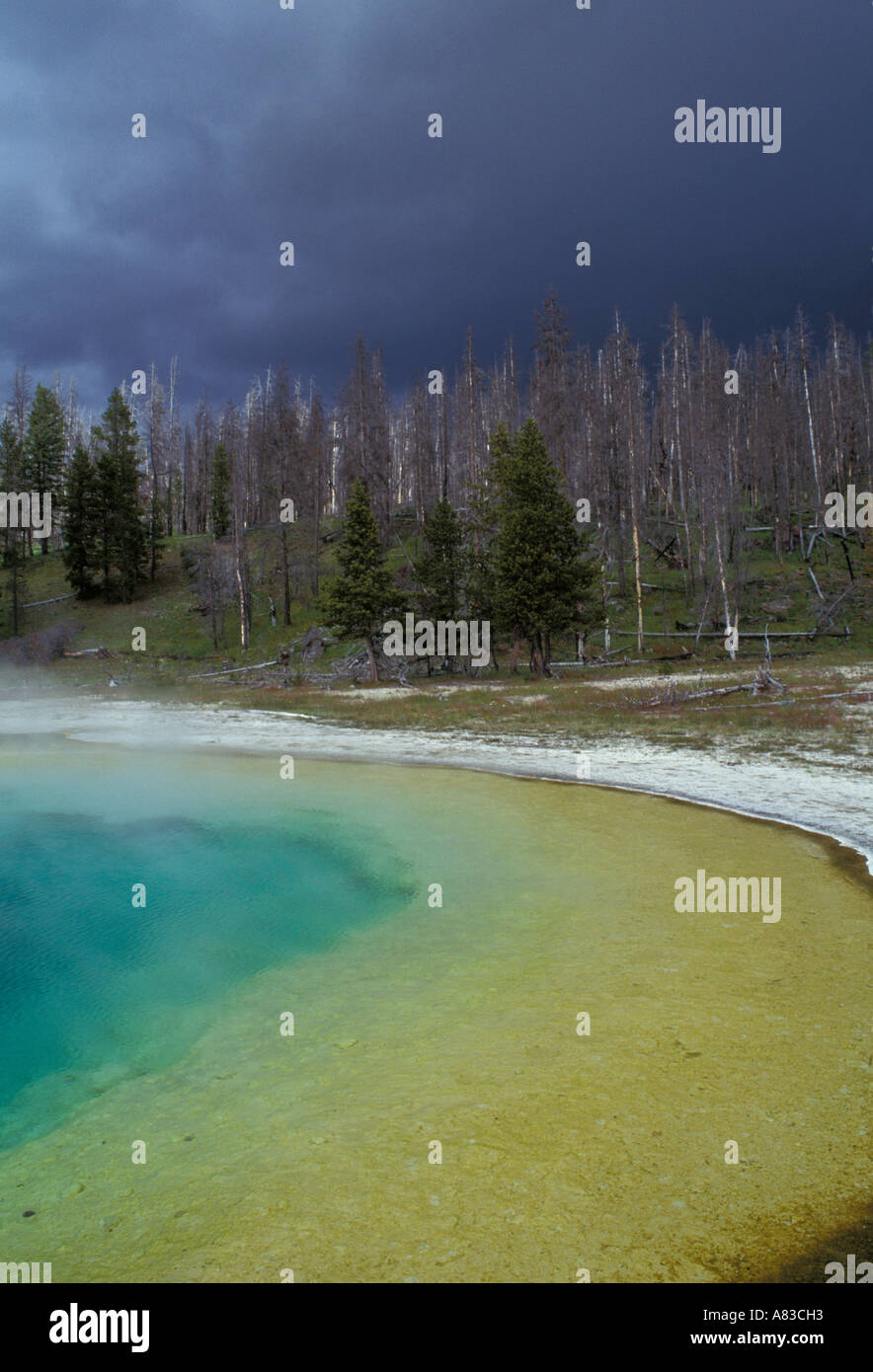 Yellowstone thermal landscape hi-res stock photography and images - Alamy