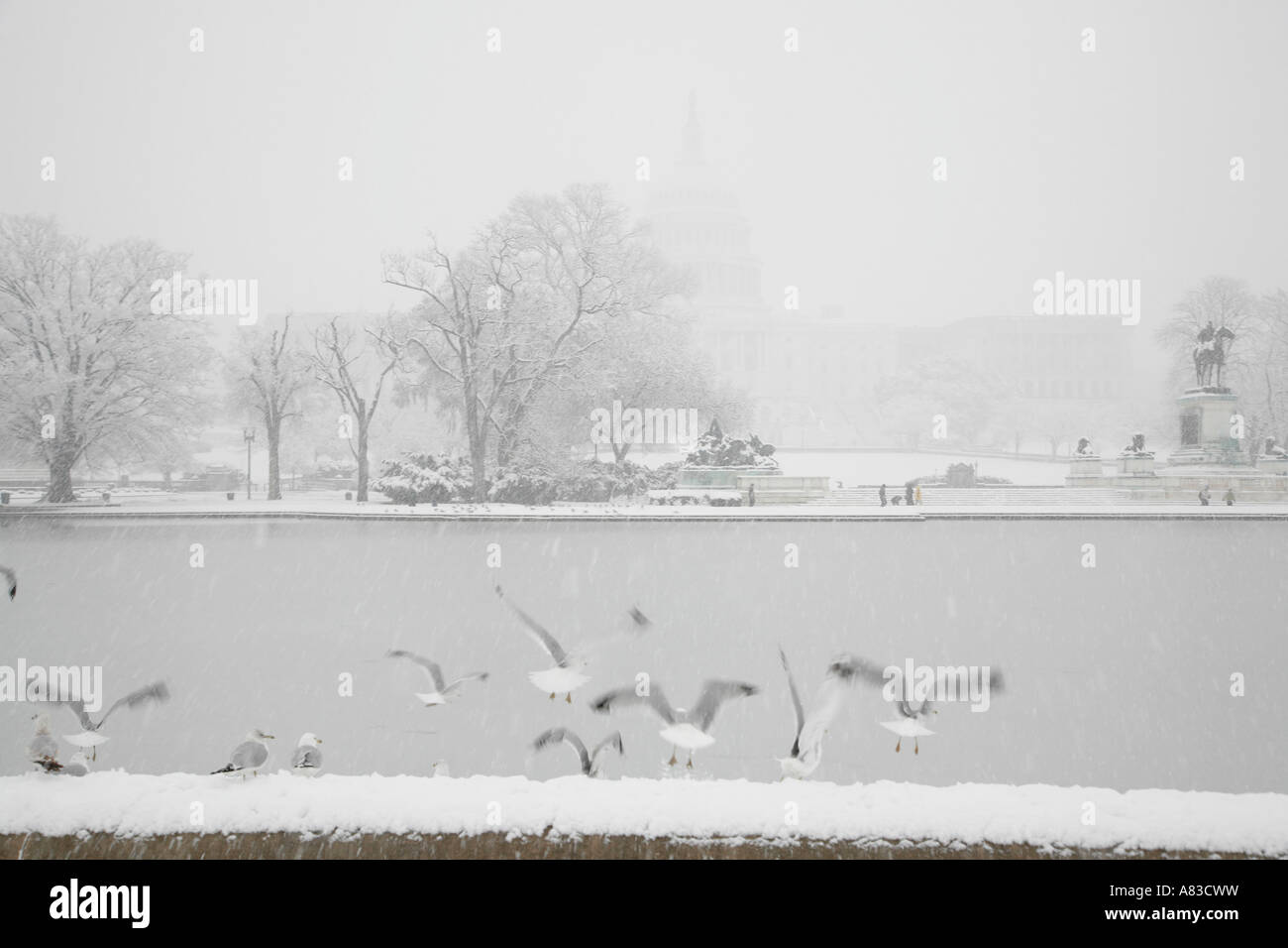 Us capitol winter snow building washington dc usa architecture hi-res ...