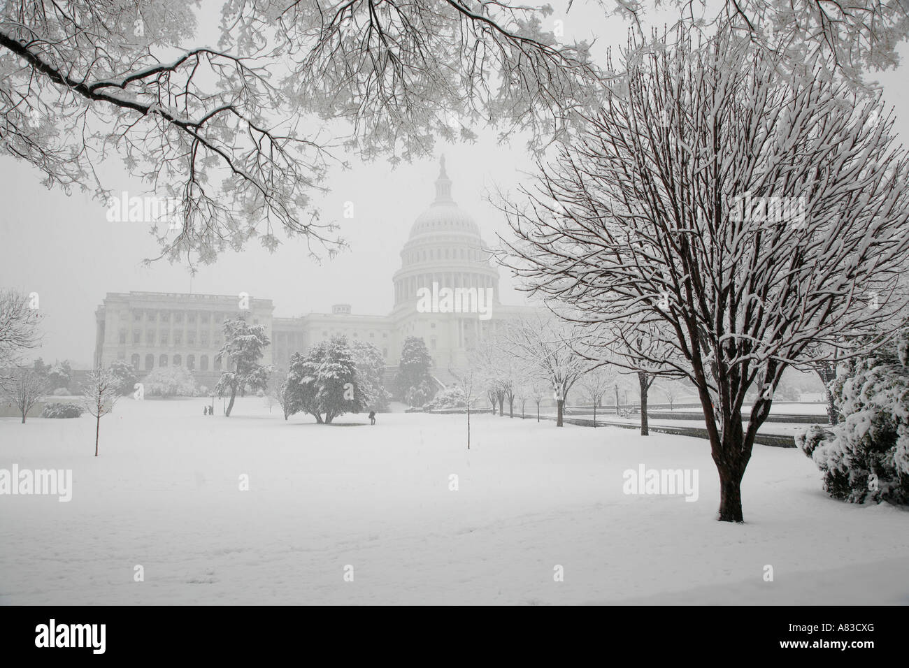 Us capitol winter snow building washington dc usa architecture hi-res ...