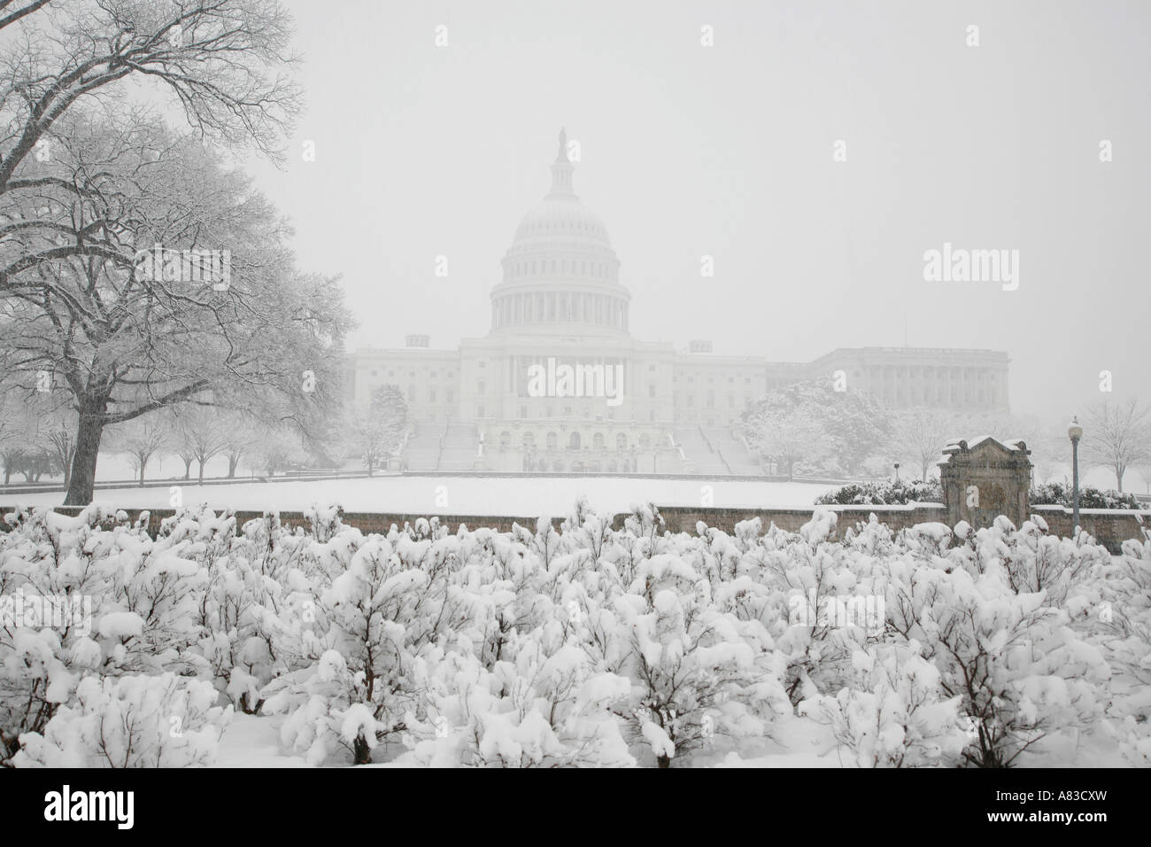 Us capitol winter snow building washington dc usa architecture hi-res ...