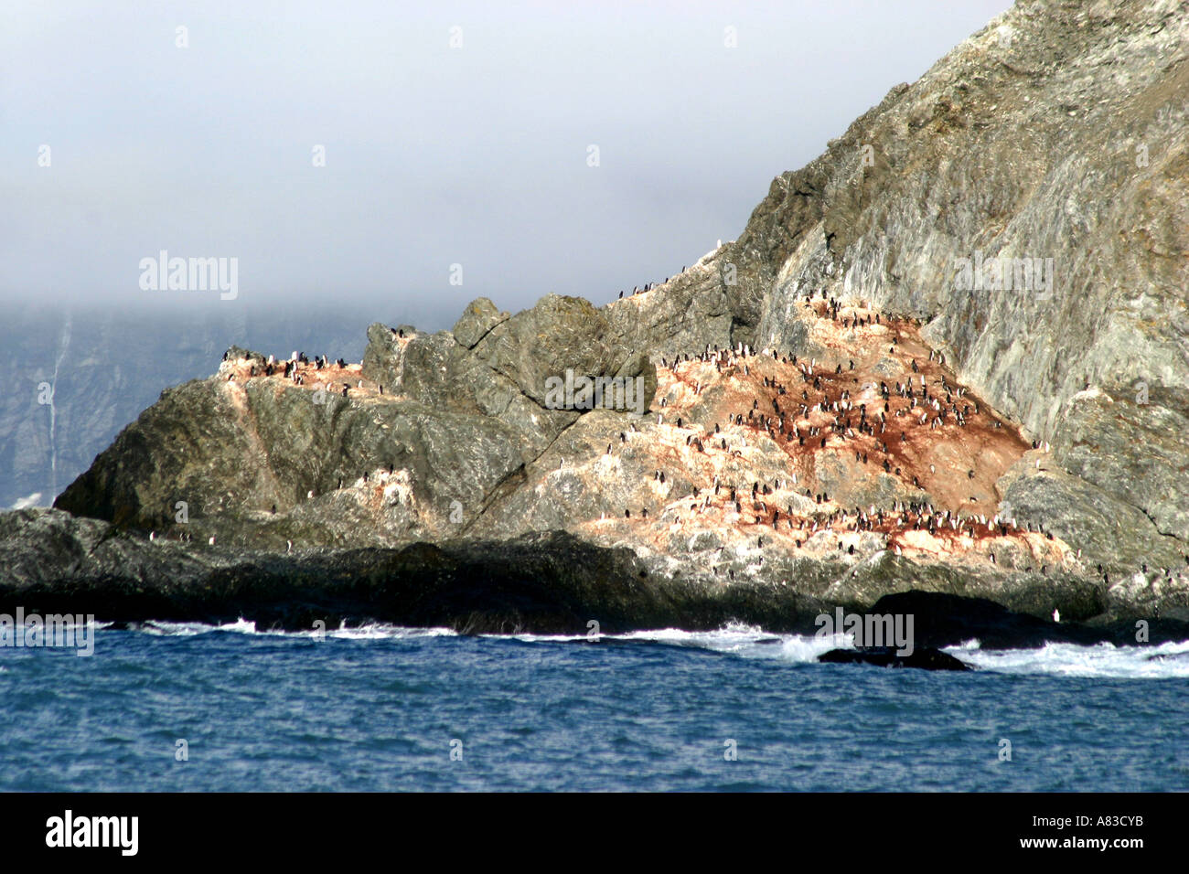 Historic Elephant Island, Antarctica is the site of Sir Ernest ...