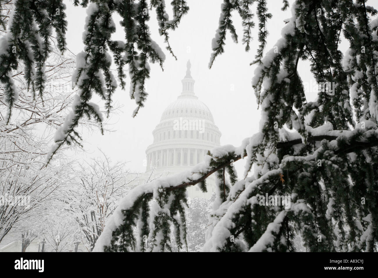 Us capitol winter snow building washington dc usa architecture hi-res ...