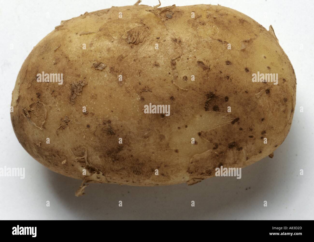 A Single Potato Stock Photo - Alamy