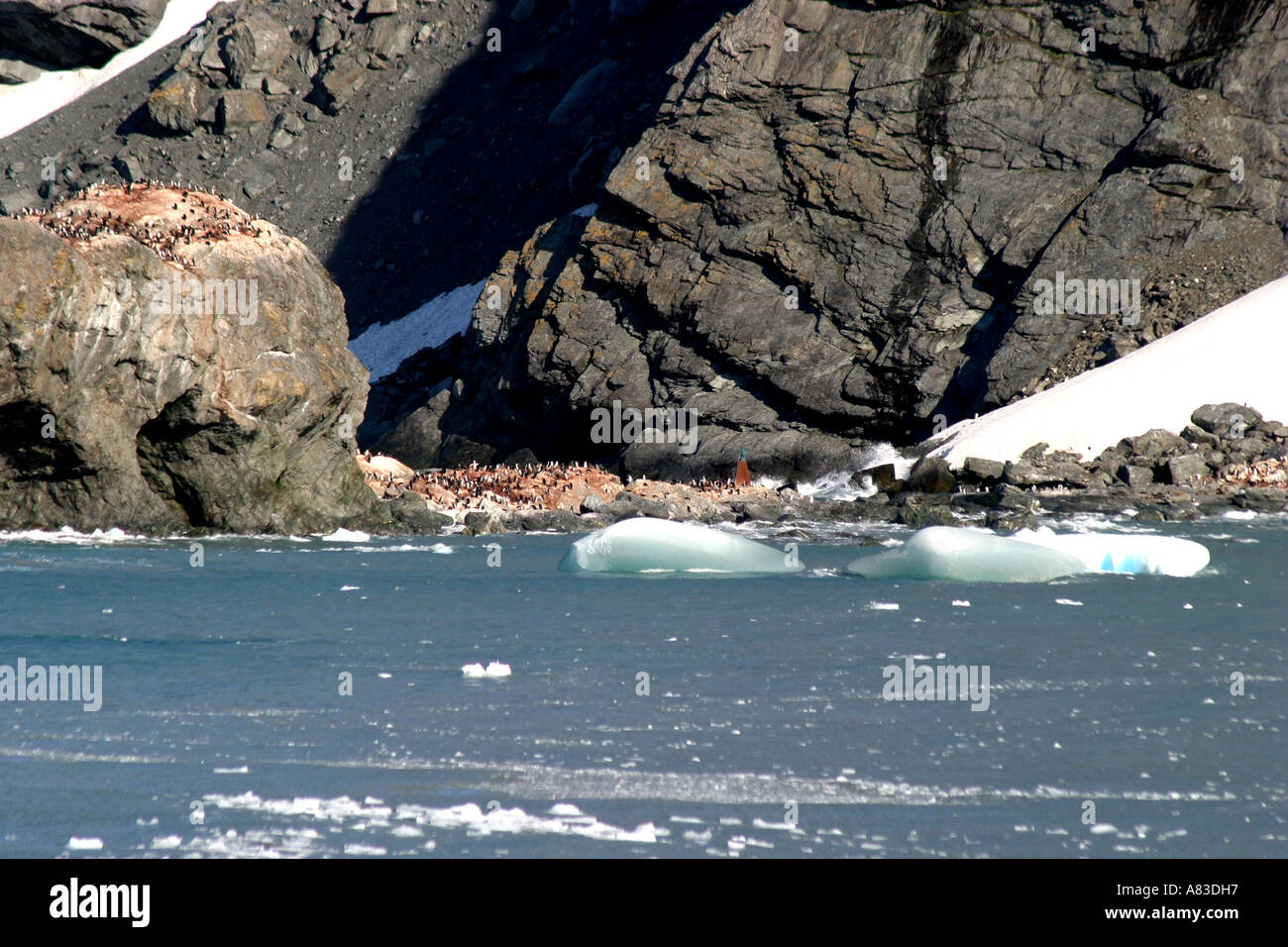 Historic Elephant Island, Antarctica is the site of Sir Ernest ...