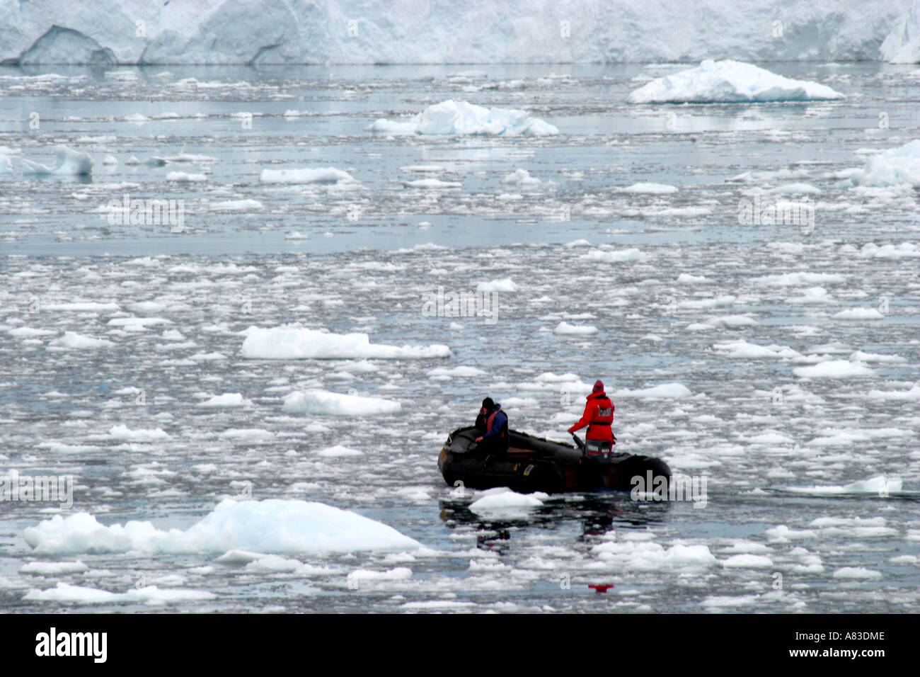 Cruise passenger Zodiac makes its way through ice to land at Neko ...