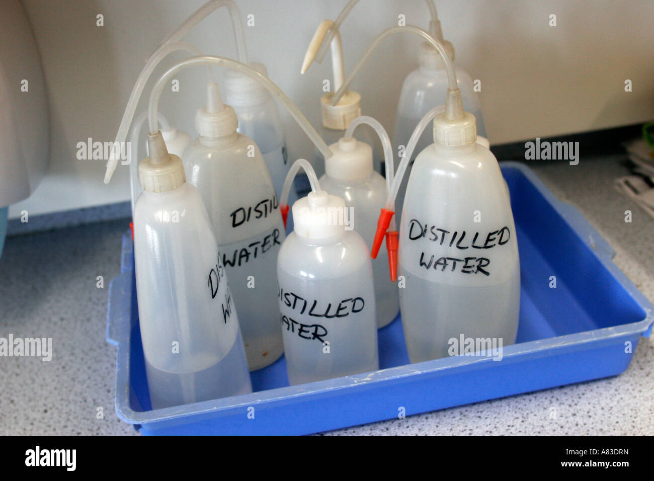 Distilled water in plastic flasks on blue tray in physics laboratory ...