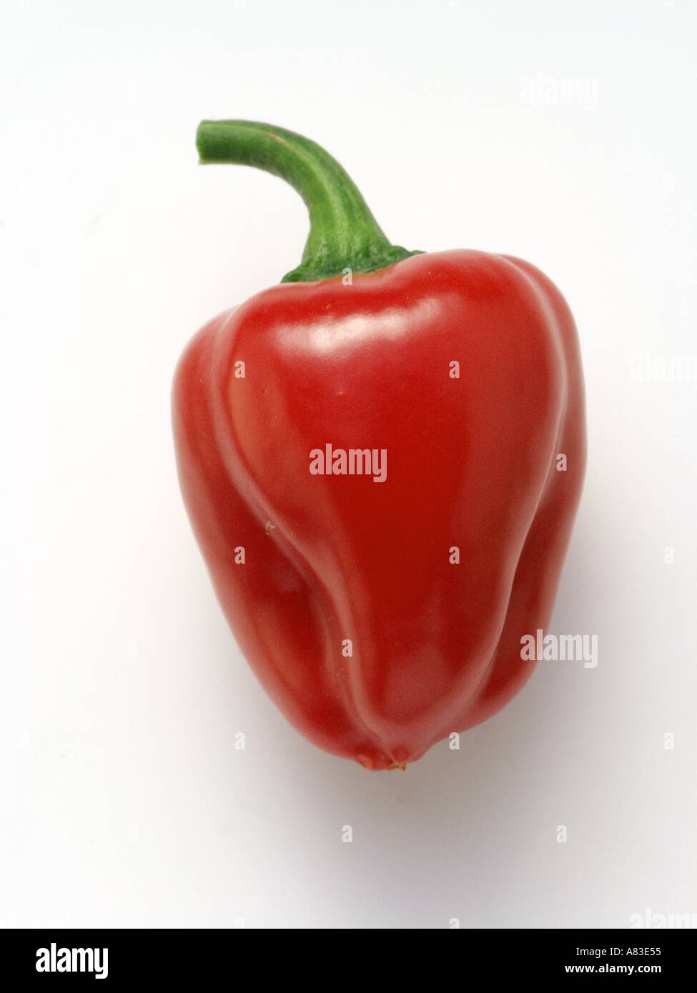 A Red Bell Pepper Stock Photo - Alamy