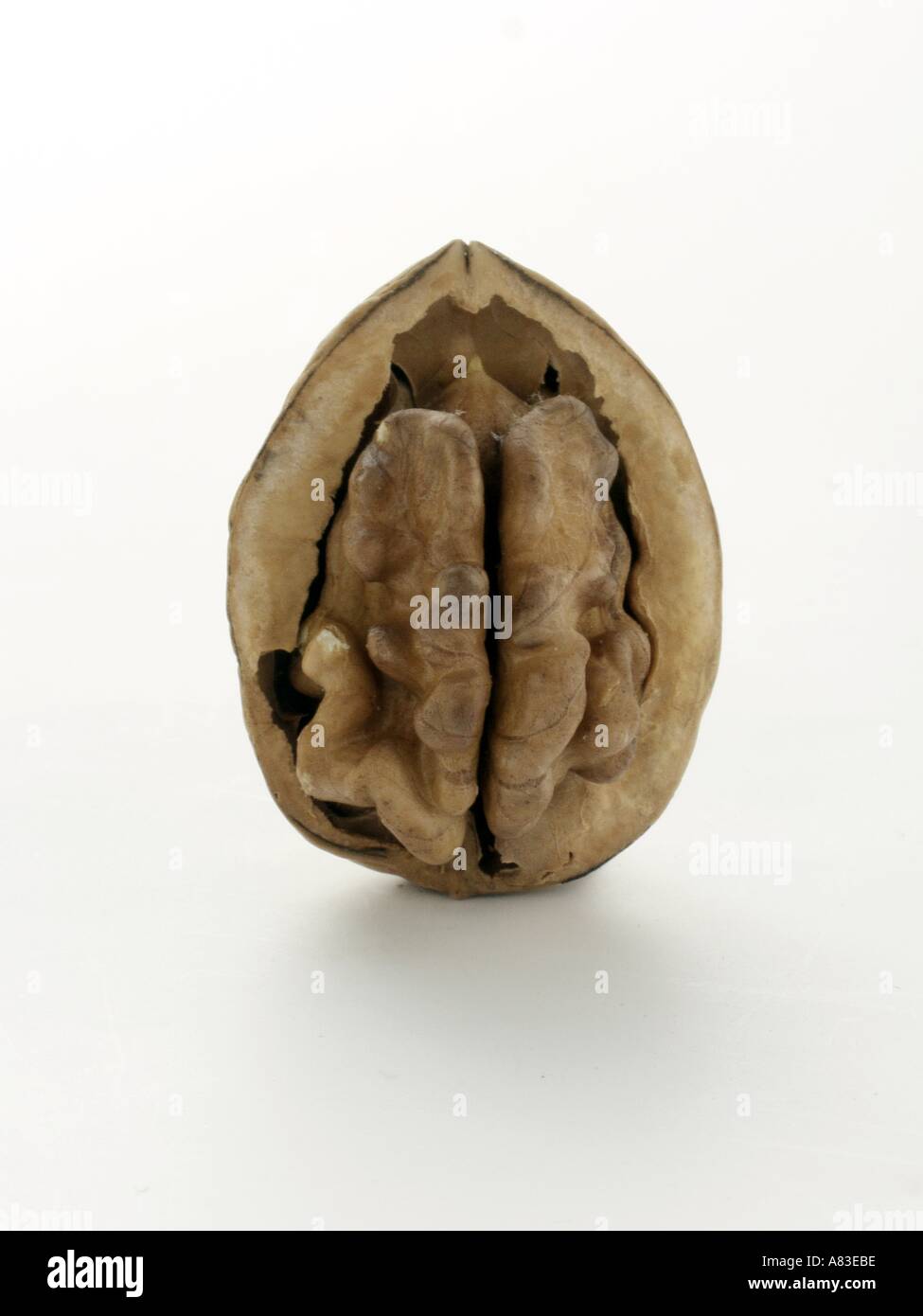 A Half Opened Walnut Stock Photo - Alamy