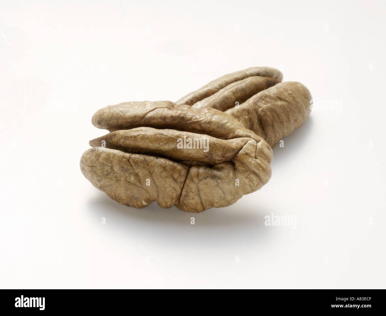 Two pecans hi-res stock photography and images - Alamy