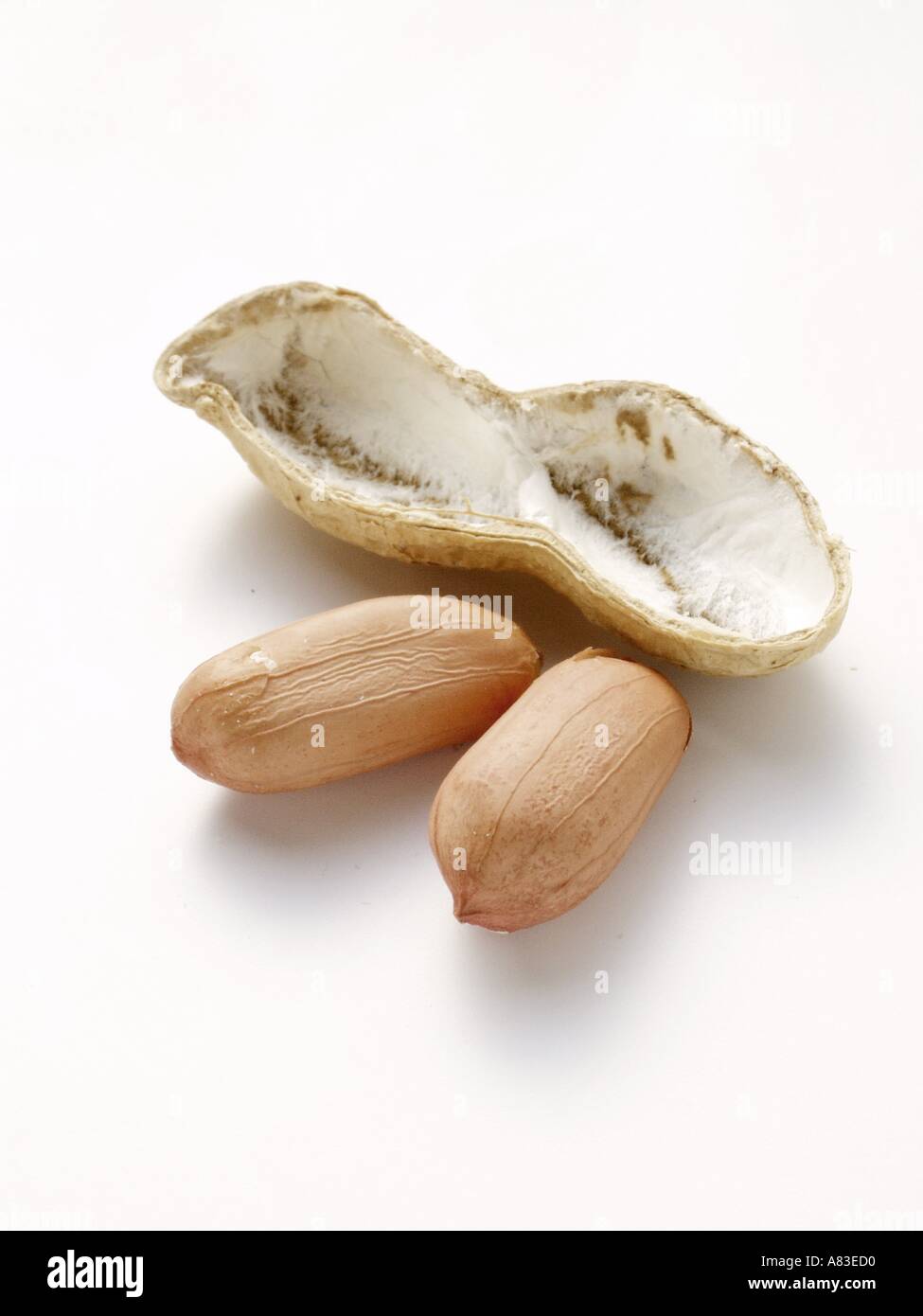 Two Shelled Peanuts with Shell Stock Photo - Alamy