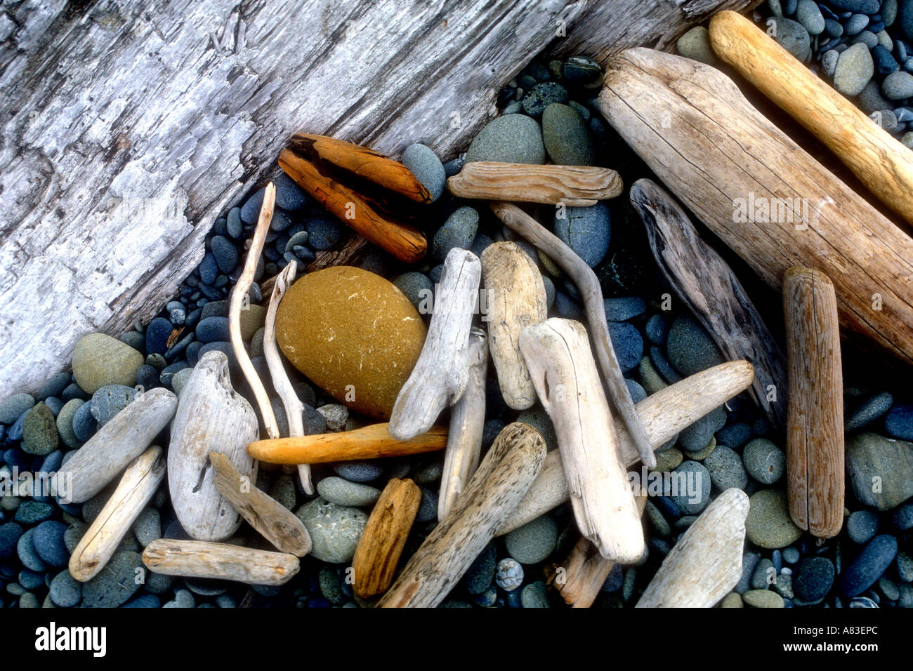 Pebbles and driftwood on a beach on 17 Mile Drive near Carmel on the ...