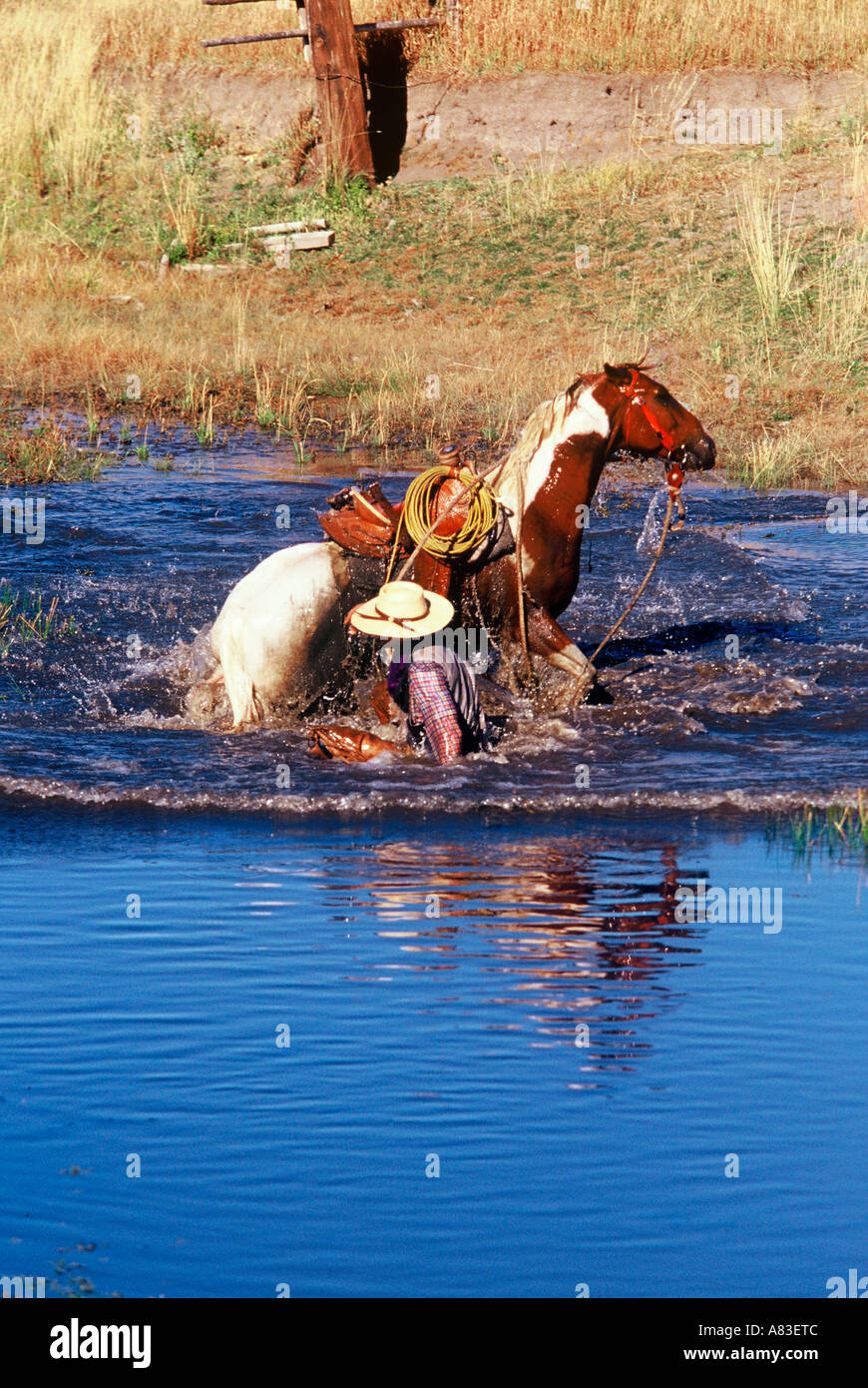Injured Cowboy High Resolution Stock Photography and Images - Alamy