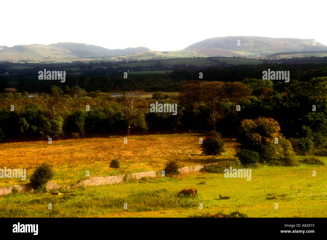 Sligo ireland yeats hi-res stock photography and images - Alamy