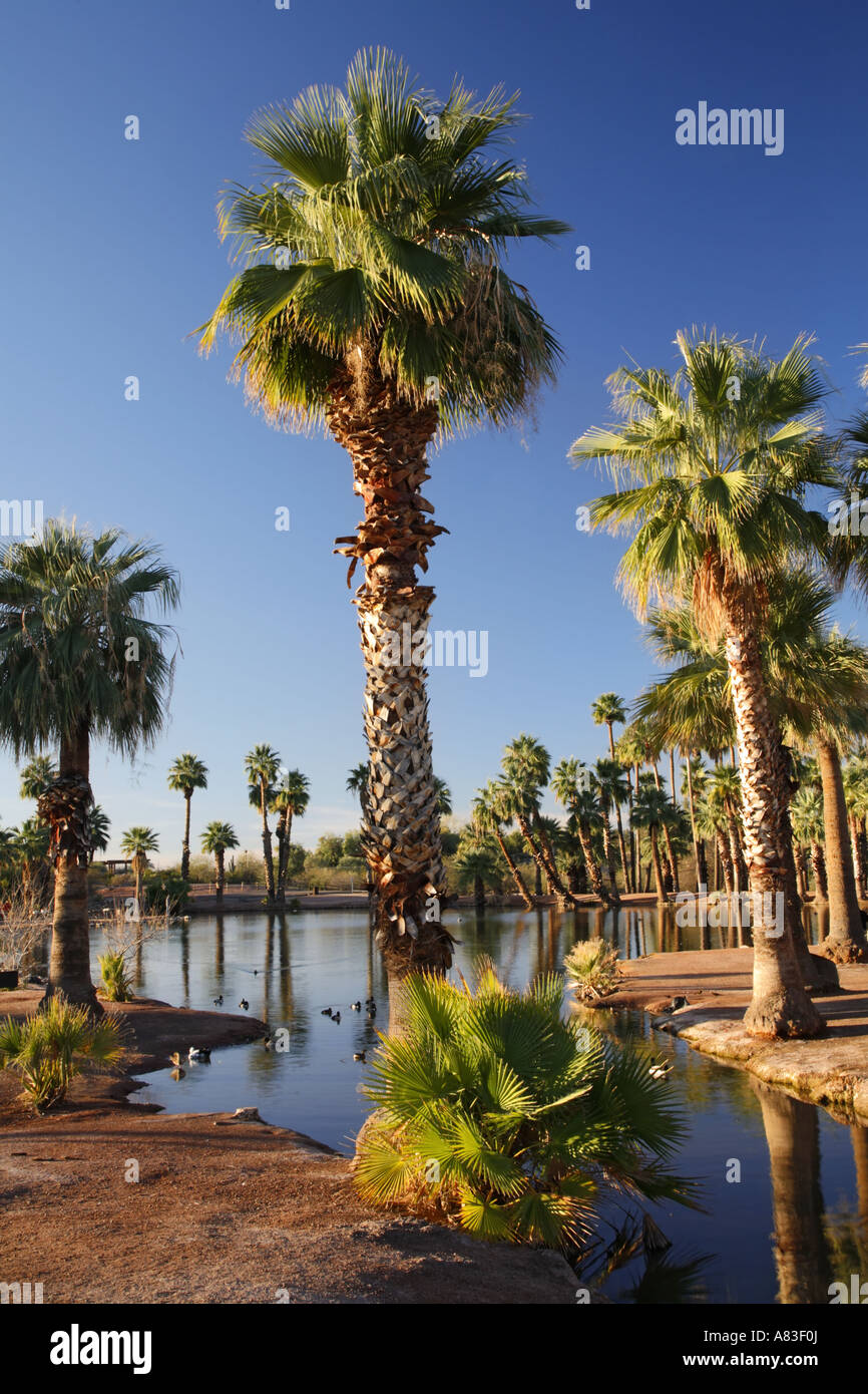 Papago park ponds hi-res stock photography and images - Alamy