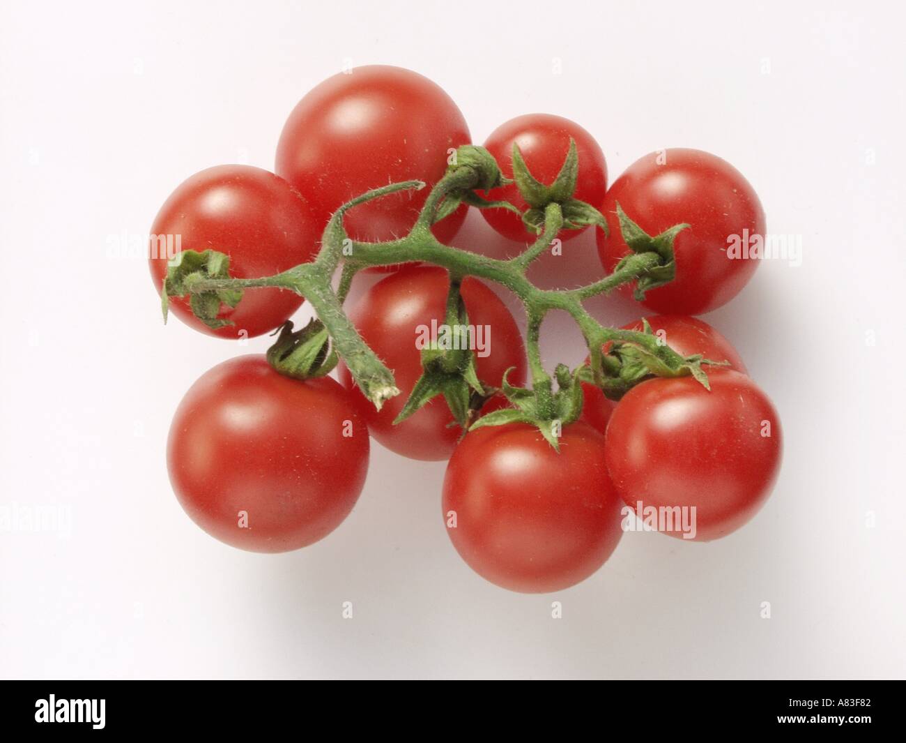 Red Cherry Tomatoes Stock Photo - Alamy