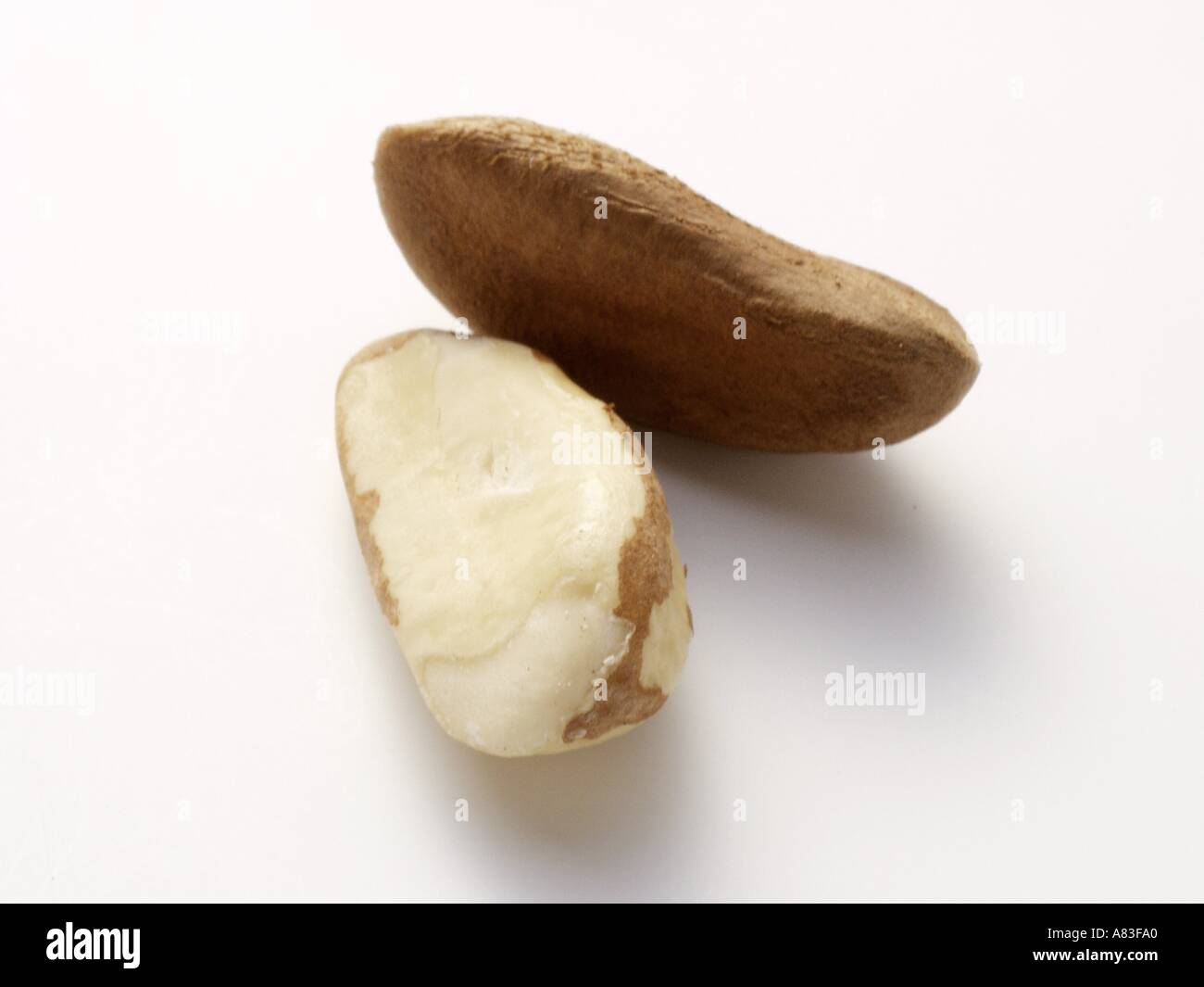 Two nuts hi-res stock photography and images - Alamy