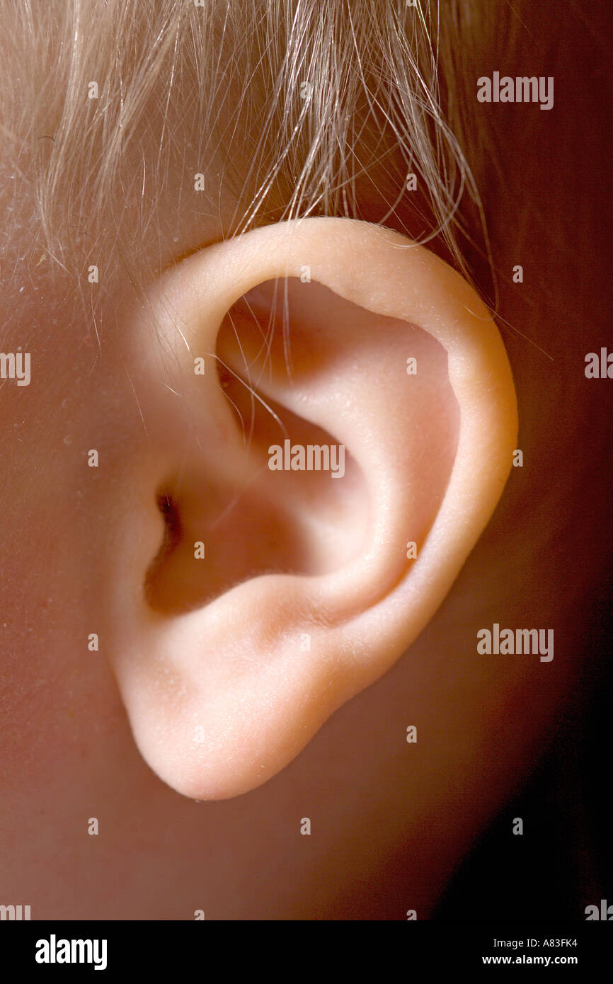 Toddlers ear hi-res stock photography and images - Alamy