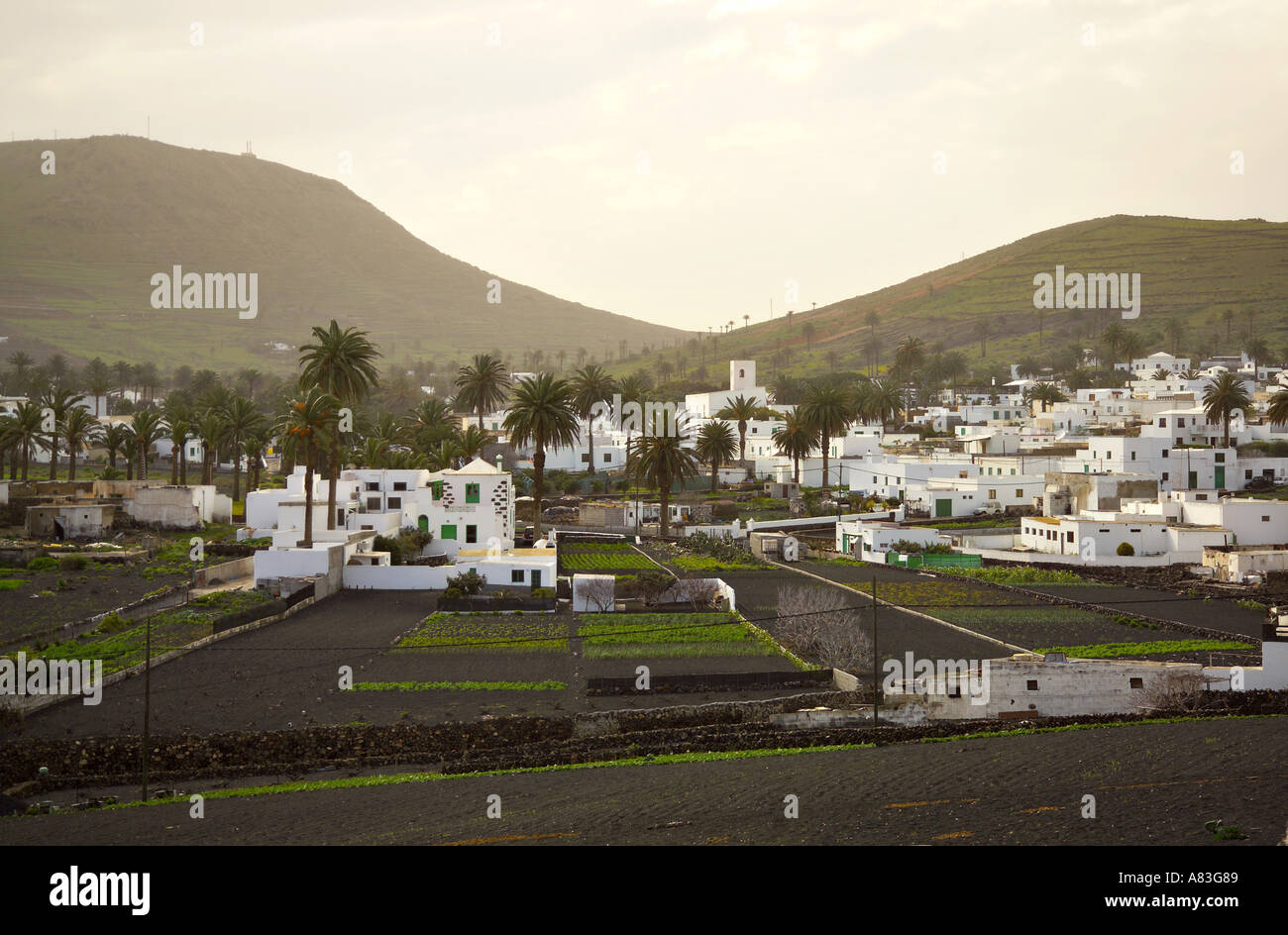 Haría lanzarote hi-res stock photography and images - Alamy