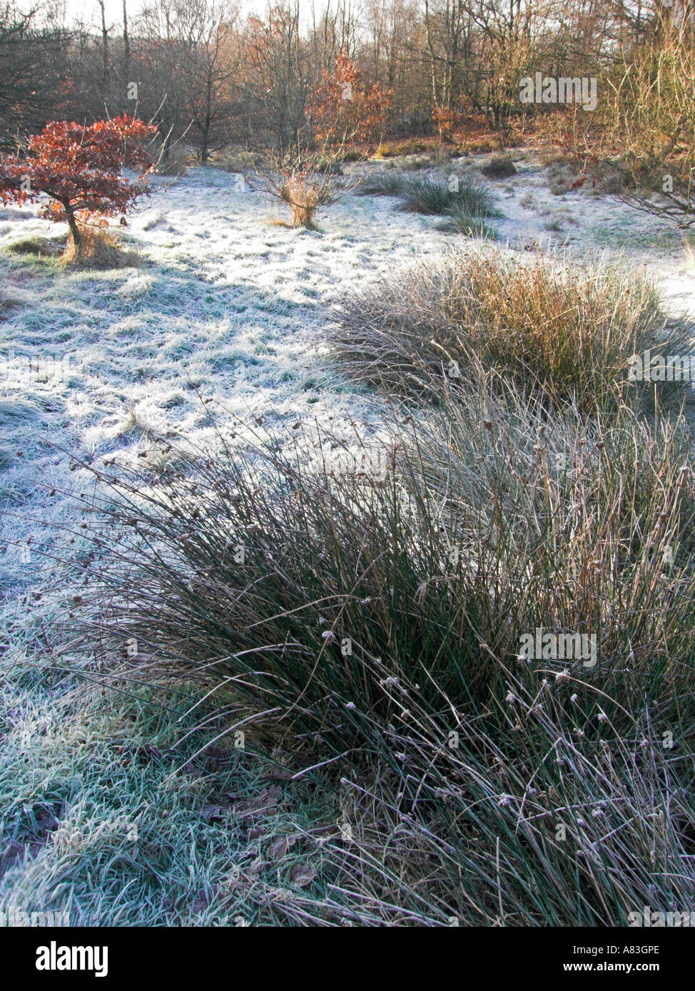 Frost break hi-res stock photography and images - Alamy