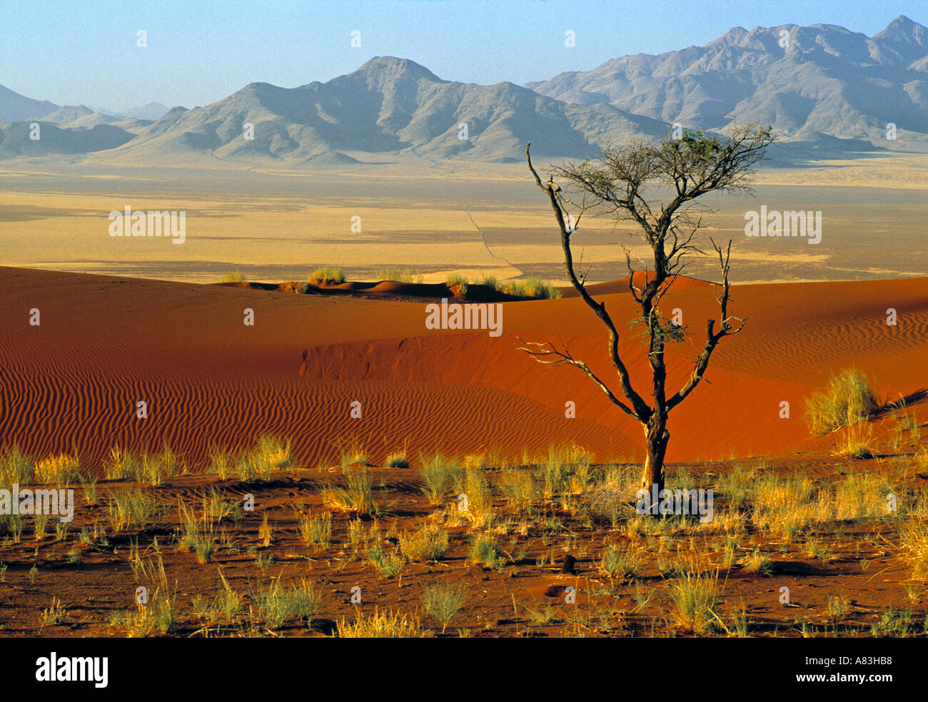 Namibrand Nature Reserve, Namibia Stock Photo - Alamy