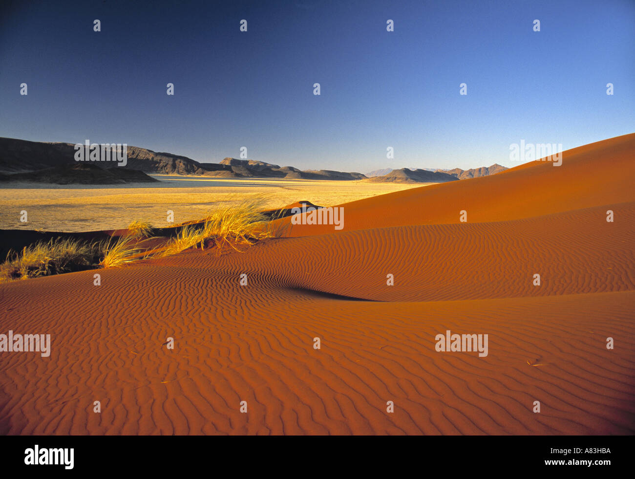 Namibrand Nature Reserve, Namibia Stock Photo - Alamy