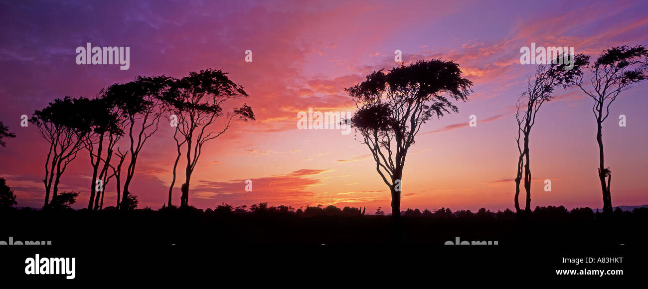Evening Light Borders Country Dumfries and Galloway Region Scotland ...