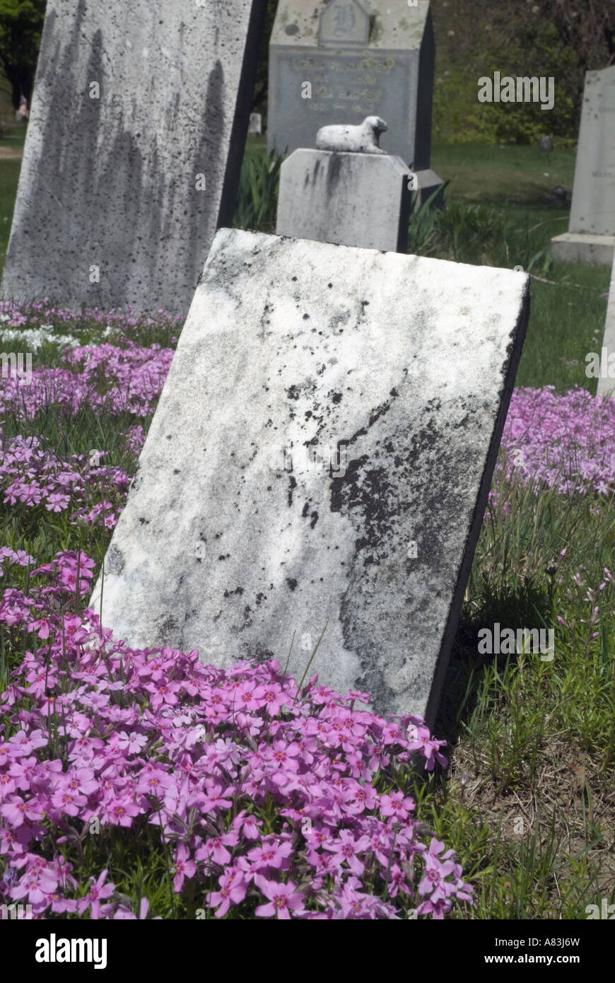 Old weathered headstones at South Side Cemetery in Nottingham New ...