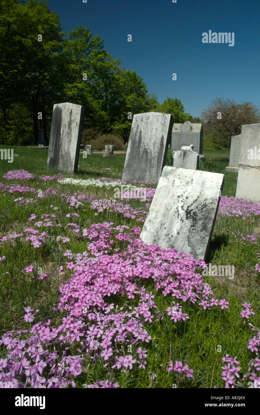 Old weathered headstones at South Side Cemetery in Nottingham New ...