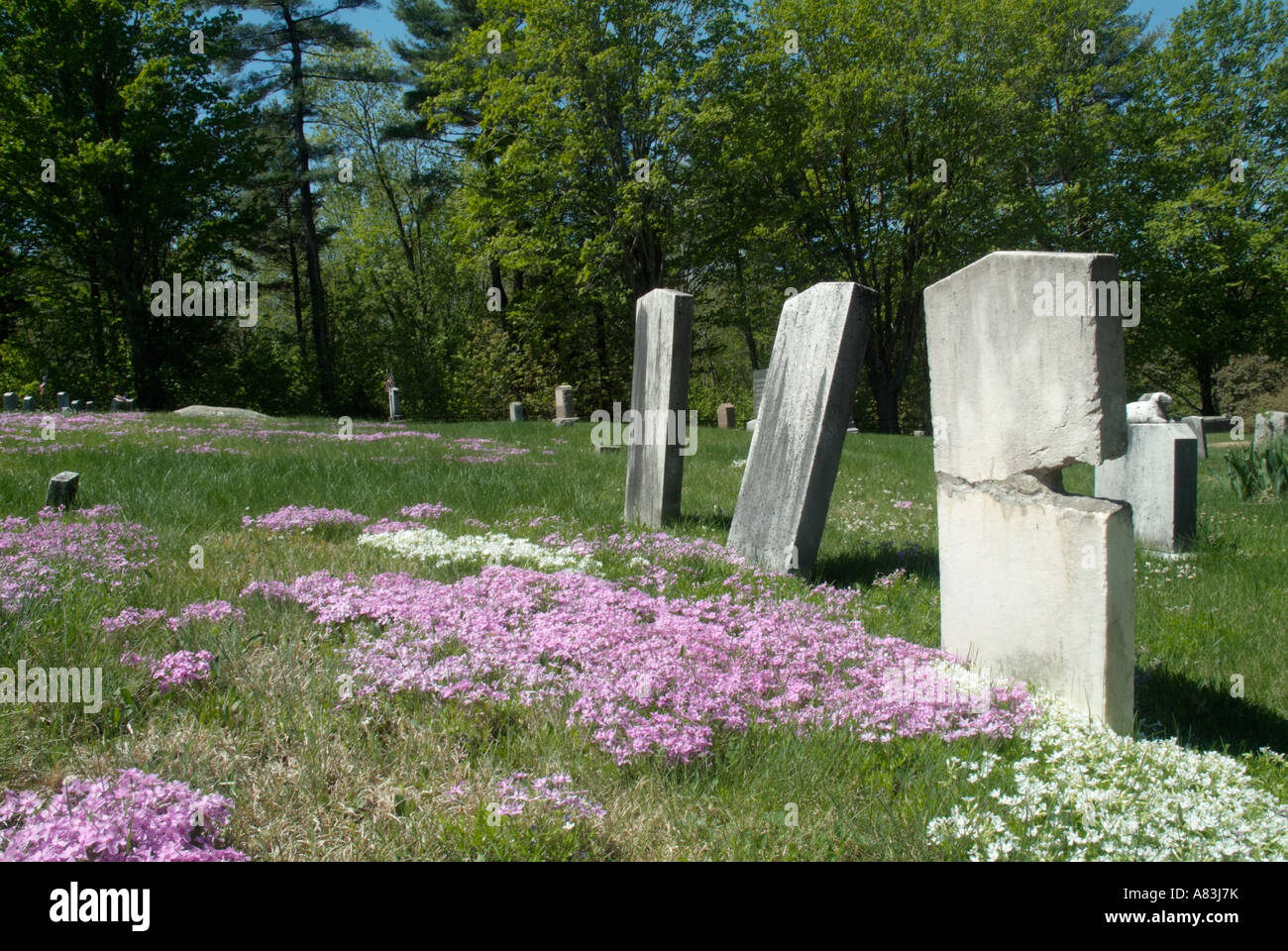 Old weathered headstones at South Side Cemetery in Nottingham New ...