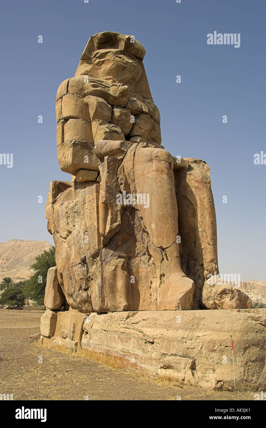 Colossus of Memnon Luxor Thebes Egypt Africa Stock Photo - Alamy