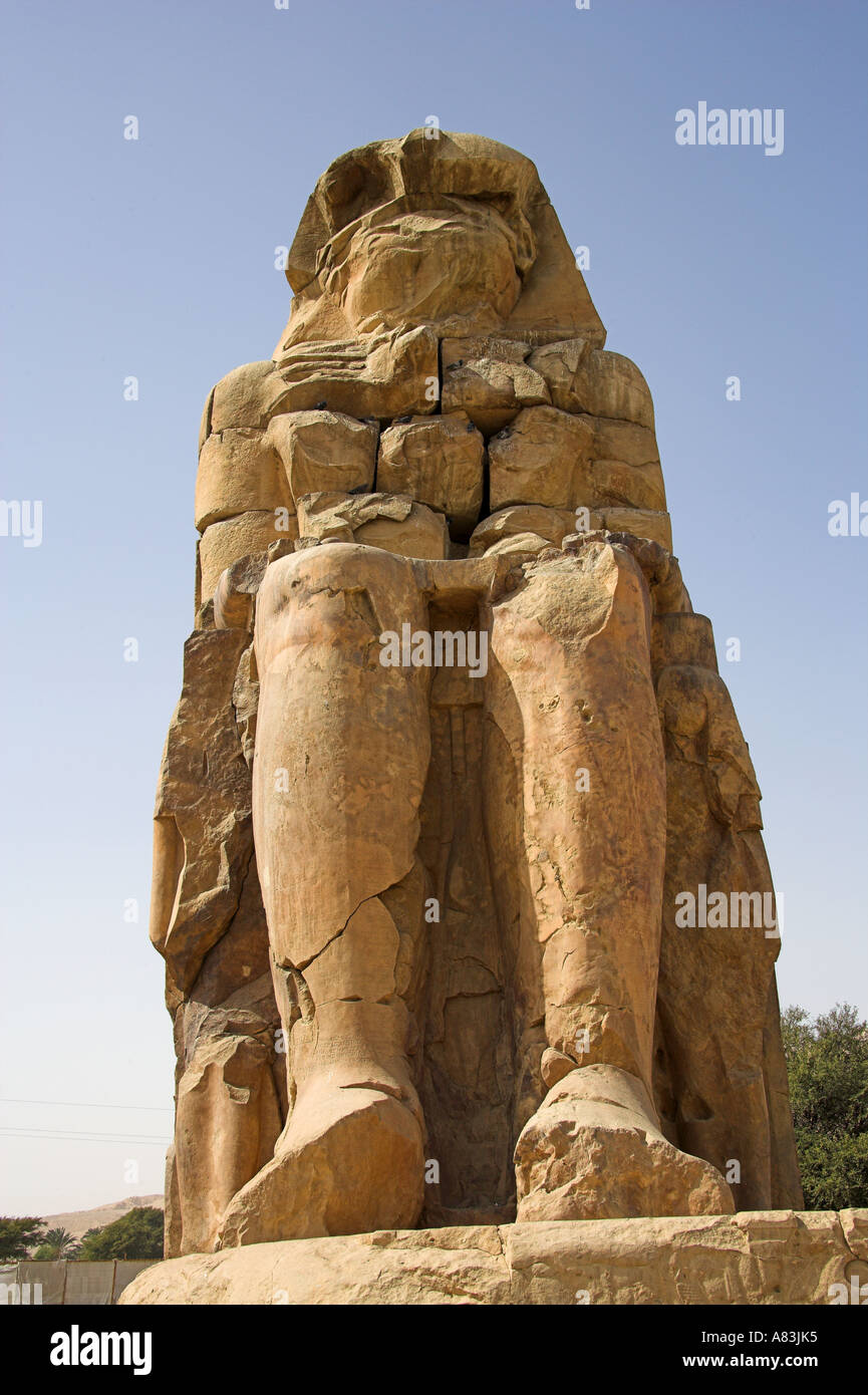 Colossus of Memnon Luxor Thebes Egypt Africa Stock Photo - Alamy