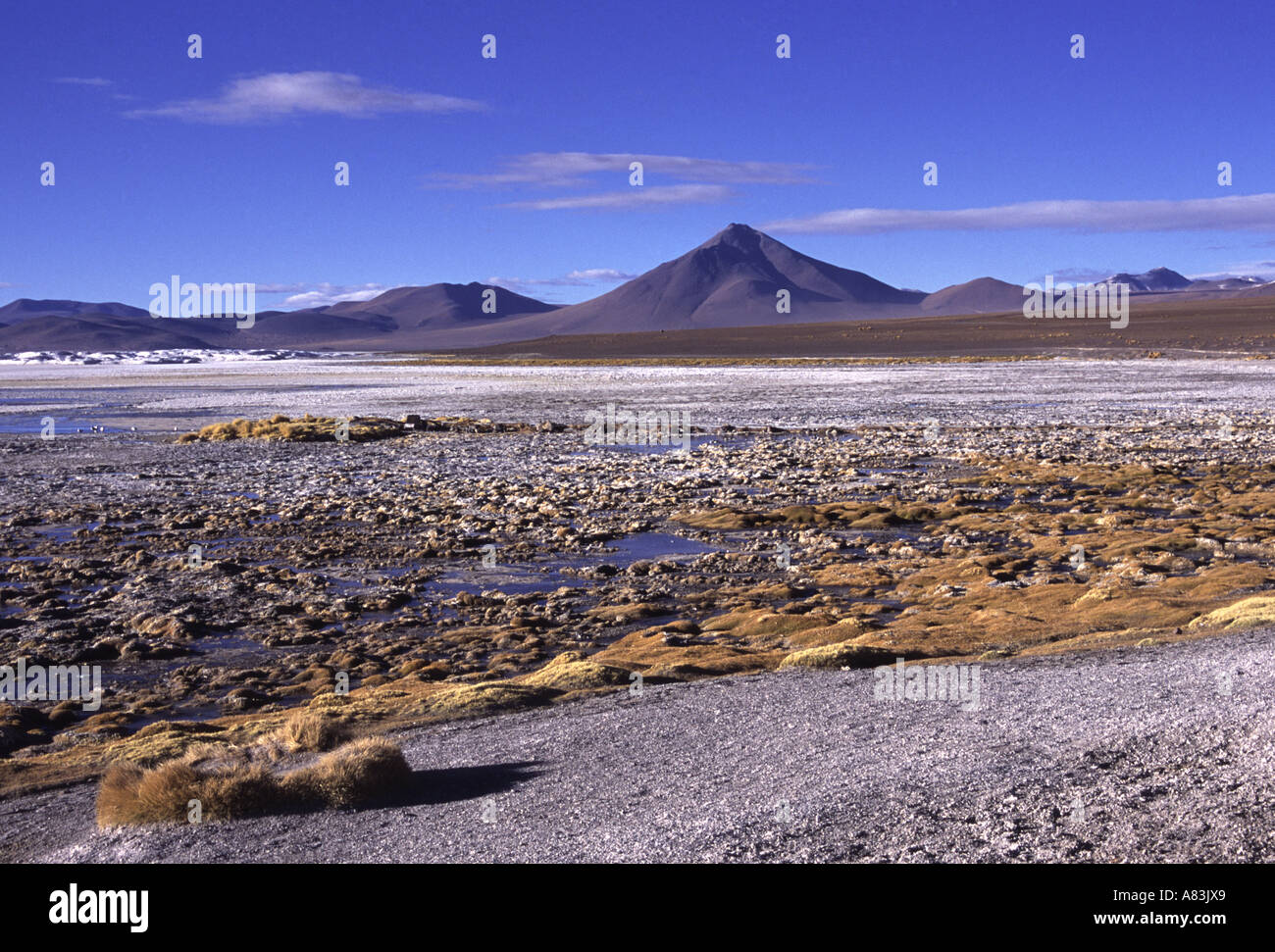 Volcanic landscape, The Andes, Bolivia, South America Stock Photo - Alamy