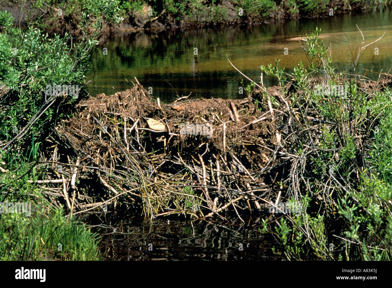 Home dam hi-res stock photography and images - Alamy