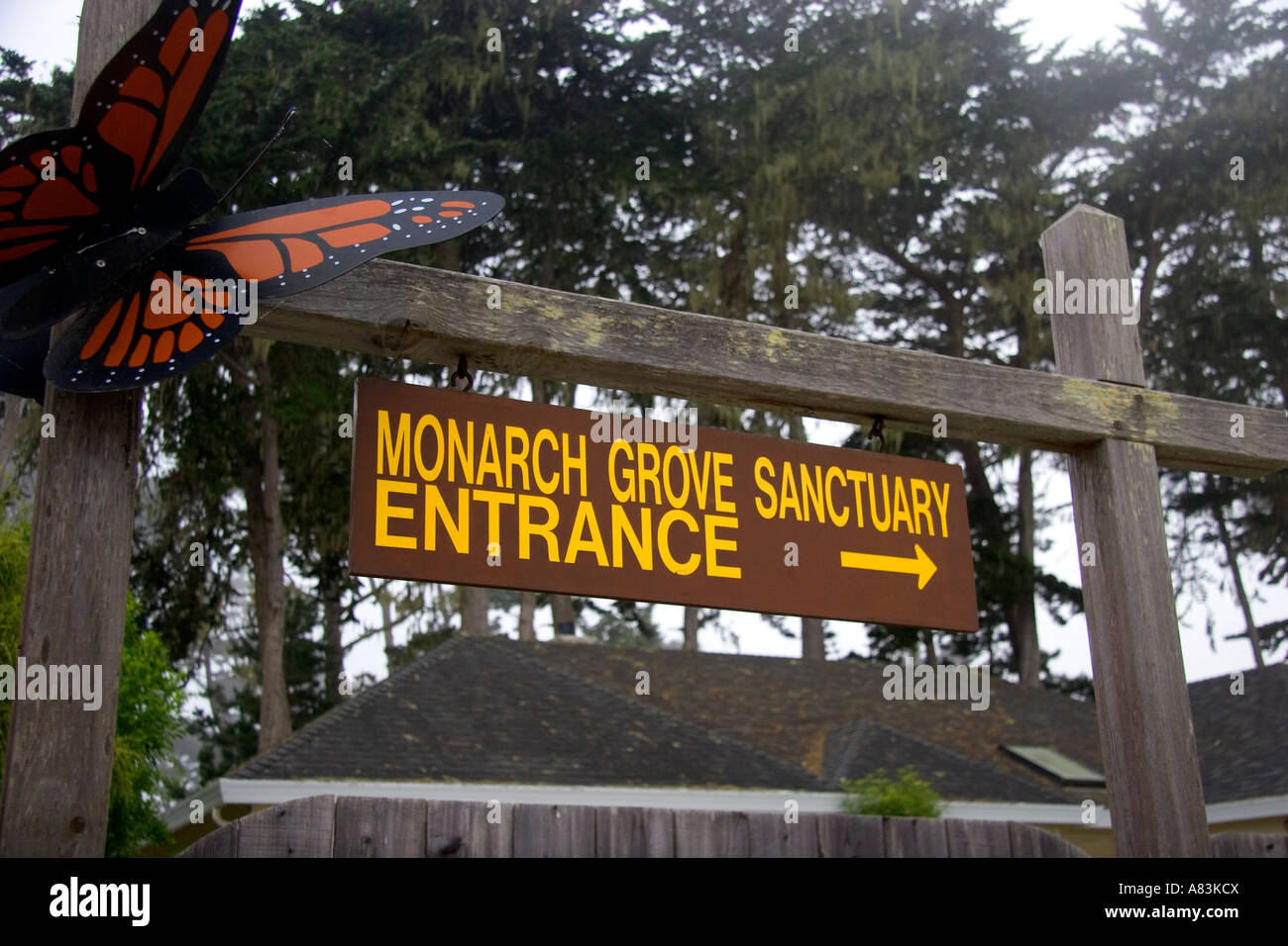 Monarch grove sanctuary hi-res stock photography and images - Alamy