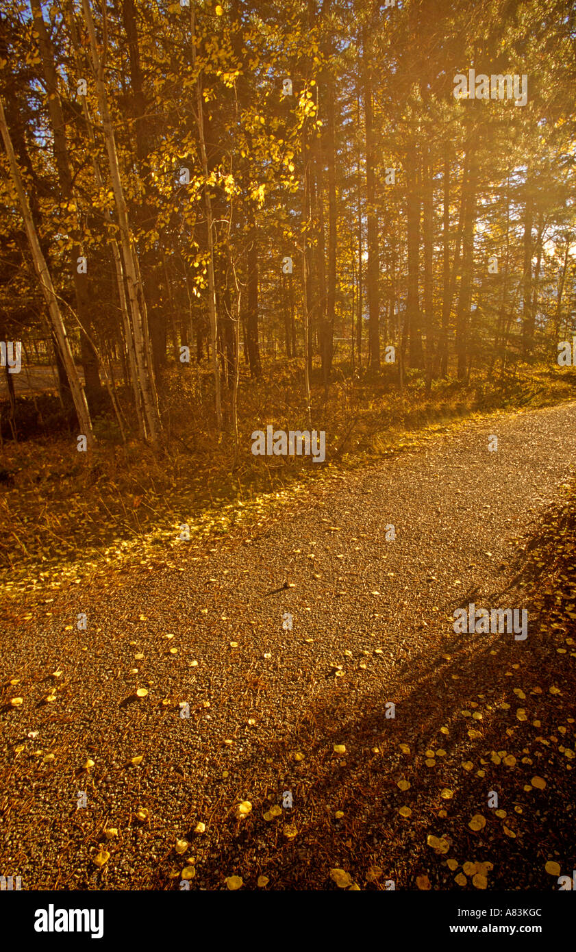 A lighted pathway hi-res stock photography and images - Alamy