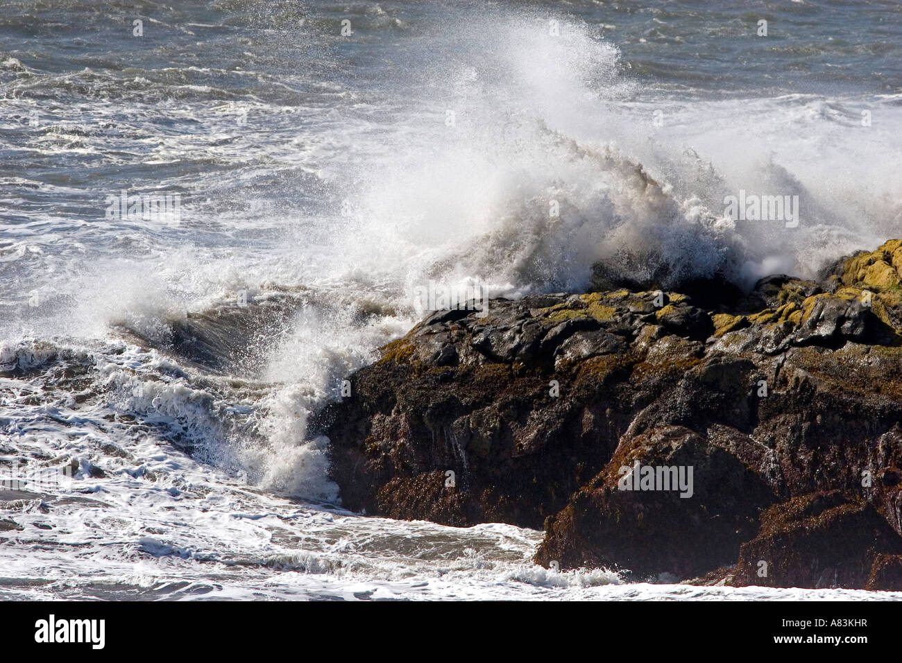 Waves crash on rocks at Crescent City on the California coast Stock ...