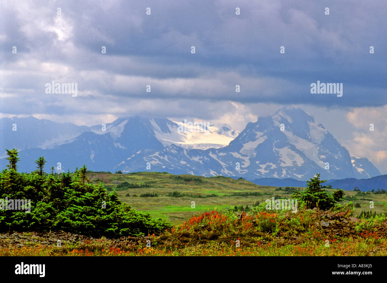 Alpine meadows and Rocky mountains Stock Photo - Alamy