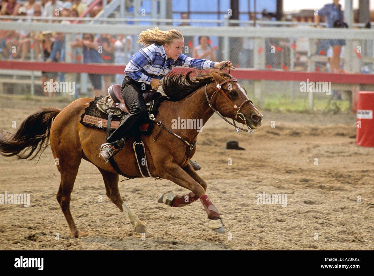 Barrel racer hi-res stock photography and images - Alamy