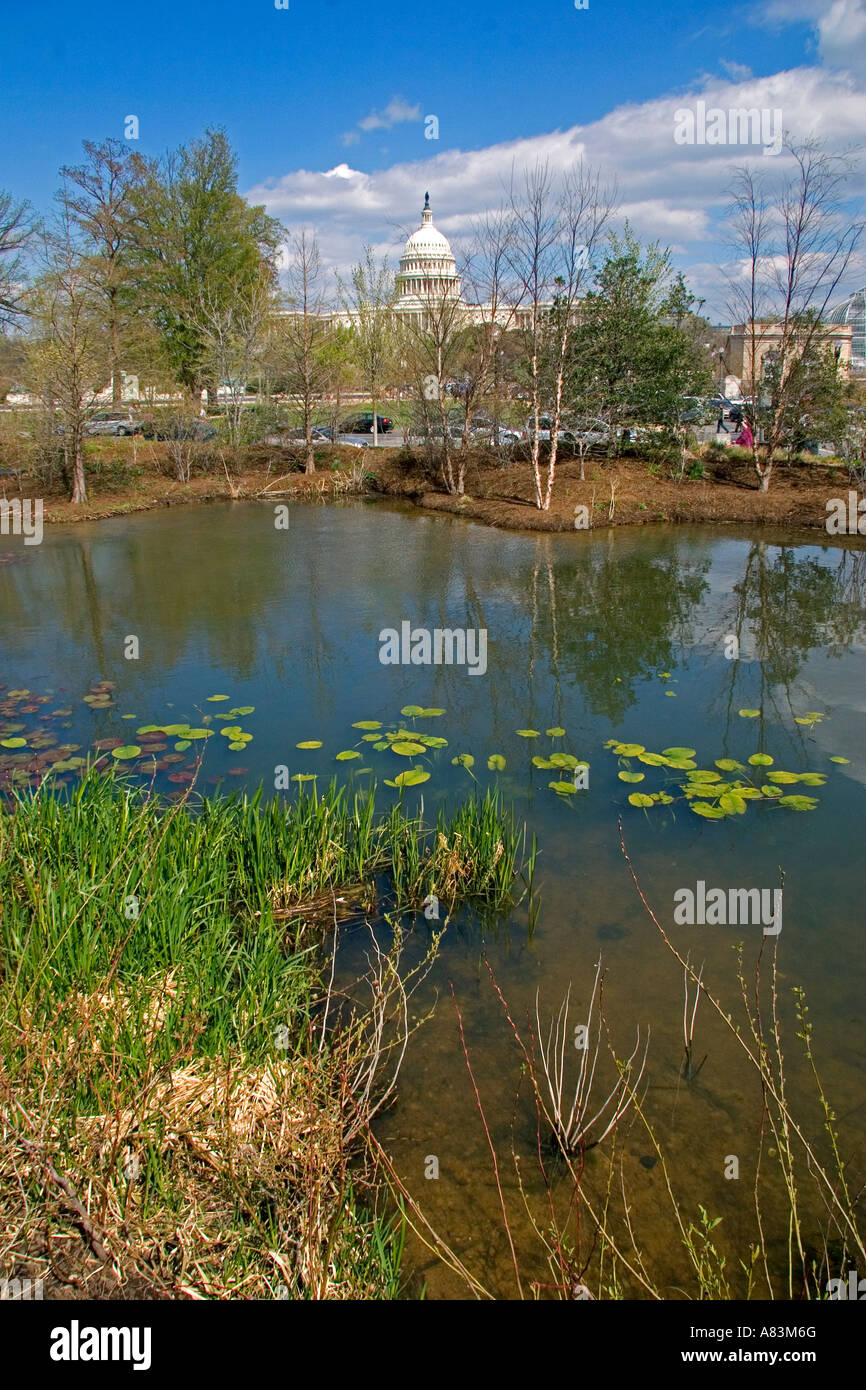 American pond hi-res stock photography and images - Alamy