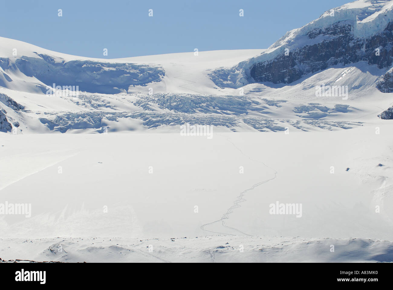 Columbia Ice Field Stock Photo - Alamy