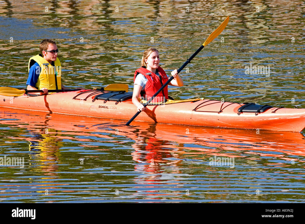 Kayak bay of fundy hi-res stock photography and images - Alamy