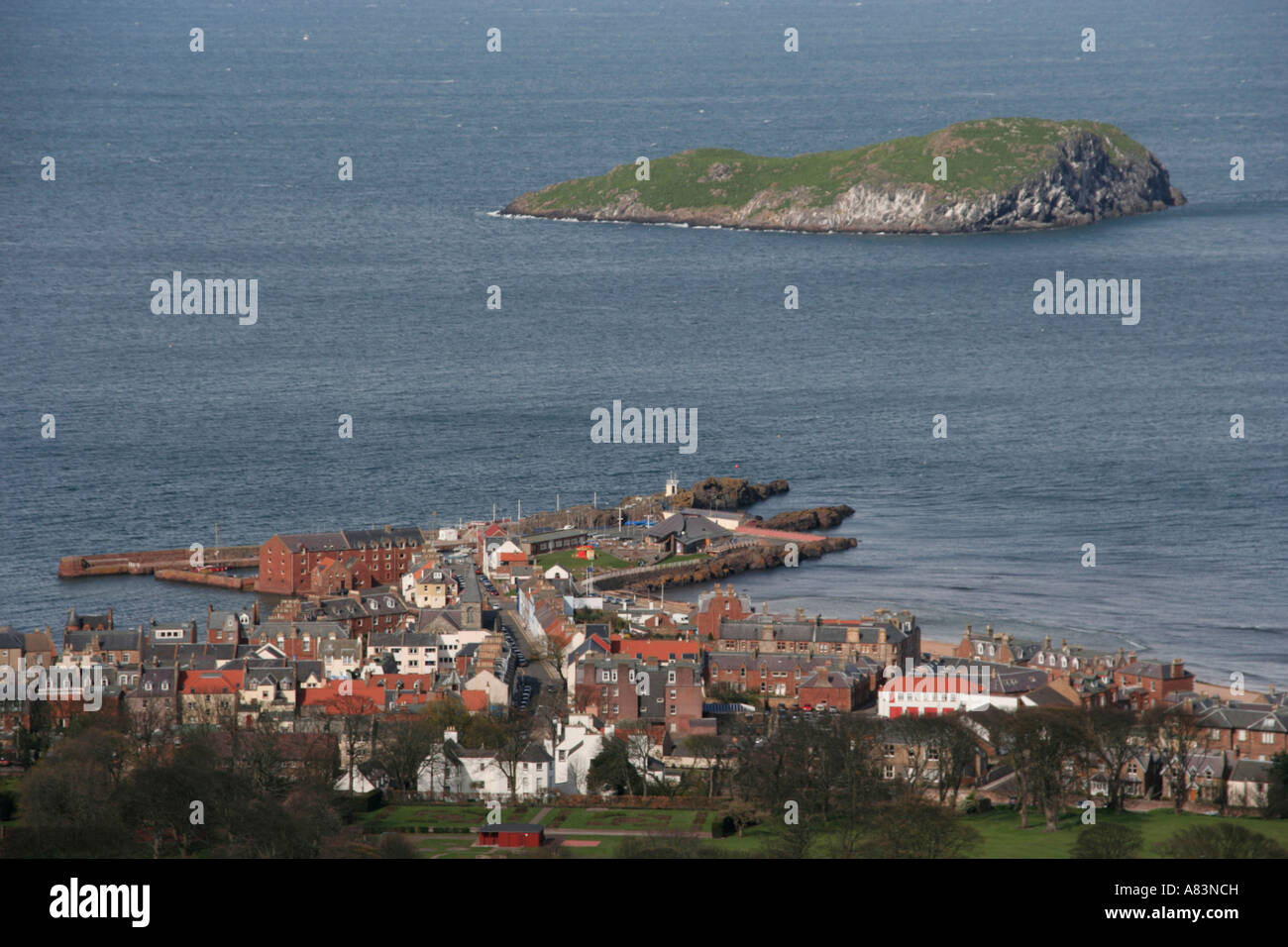 Craigleith island hi-res stock photography and images - Alamy